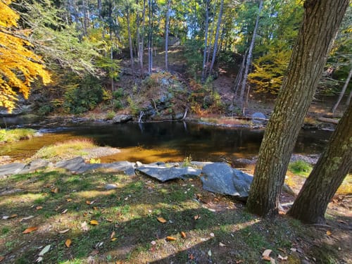 Best Hikes and Trails in Lehman Township Community Park | AllTrails