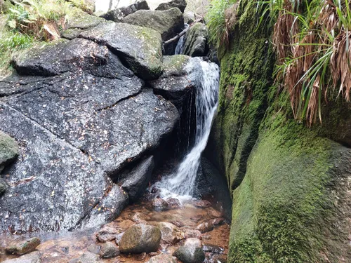 10 Best Trails and Hikes in Ballater | AllTrails