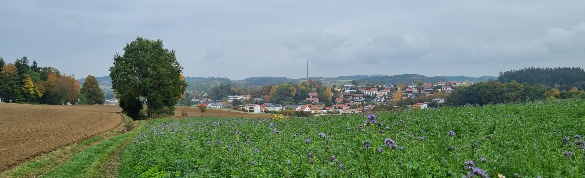 Rund um Buch am Erlbach, Bavaria, Germany - 2 Reviews, Map | AllTrails