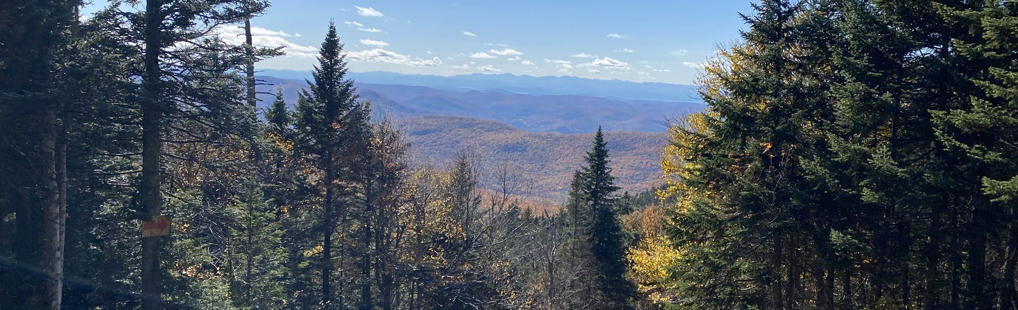 Vista Peak via Villager, 5 Corners, Cobrass, and Sherman's Pass Trail ...