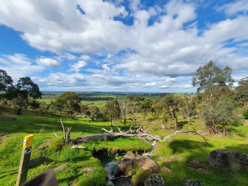 Best 10 Hiking Trails in Mount Alexander Regional Park | AllTrails