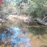 Umdoni Park, Kwazulu-Natal, South Africa - 12 Reviews, Map | AllTrails