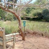 Umdoni Park, Kwazulu-Natal, South Africa - 12 Reviews, Map | AllTrails