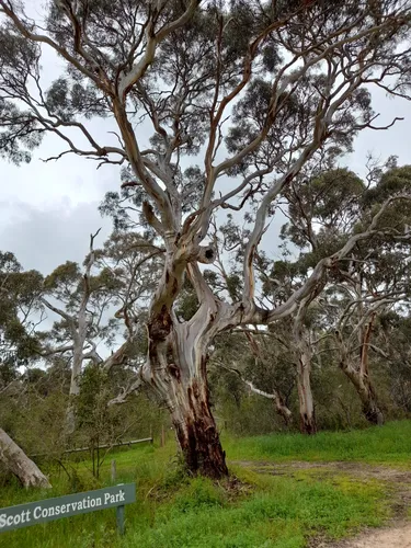 Best Hikes and Trails in Scott Conservation Park | AllTrails