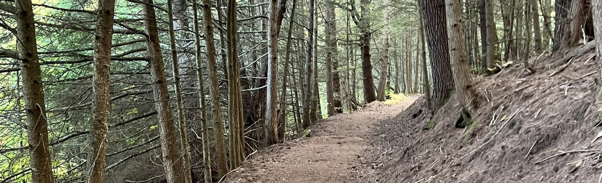 Ponds Loop, Vermont - 28 Reviews, Map | AllTrails