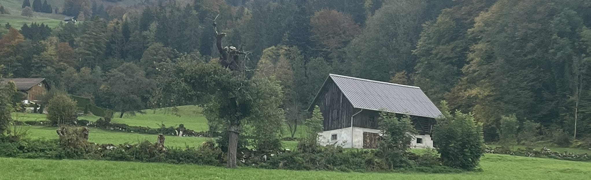 Kerns - Sand - Lauibach, Obwalden, Switzerland - 2 Reviews, Map | AllTrails