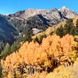 Pittsburg Lake Trail, Utah - 263 Reviews, Map | AllTrails