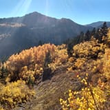 Pittsburg Lake Trail, Utah - 263 Reviews, Map | AllTrails