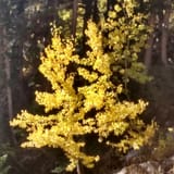 Pittsburg Lake Trail, Utah - 263 Reviews, Map | AllTrails
