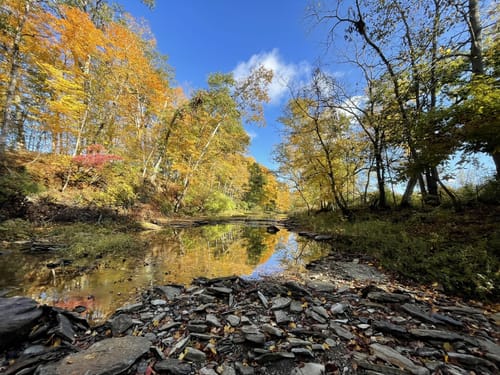 Best Hikes and Trails in Long Branch Farm & Trails | AllTrails