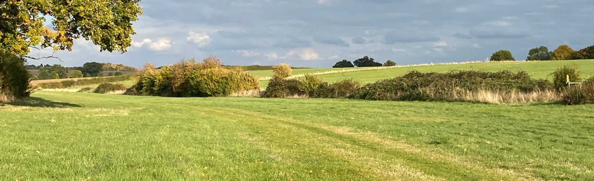 Turvey Circular Pub Walk: 14 Reviews, Map - Bedfordshire, England ...