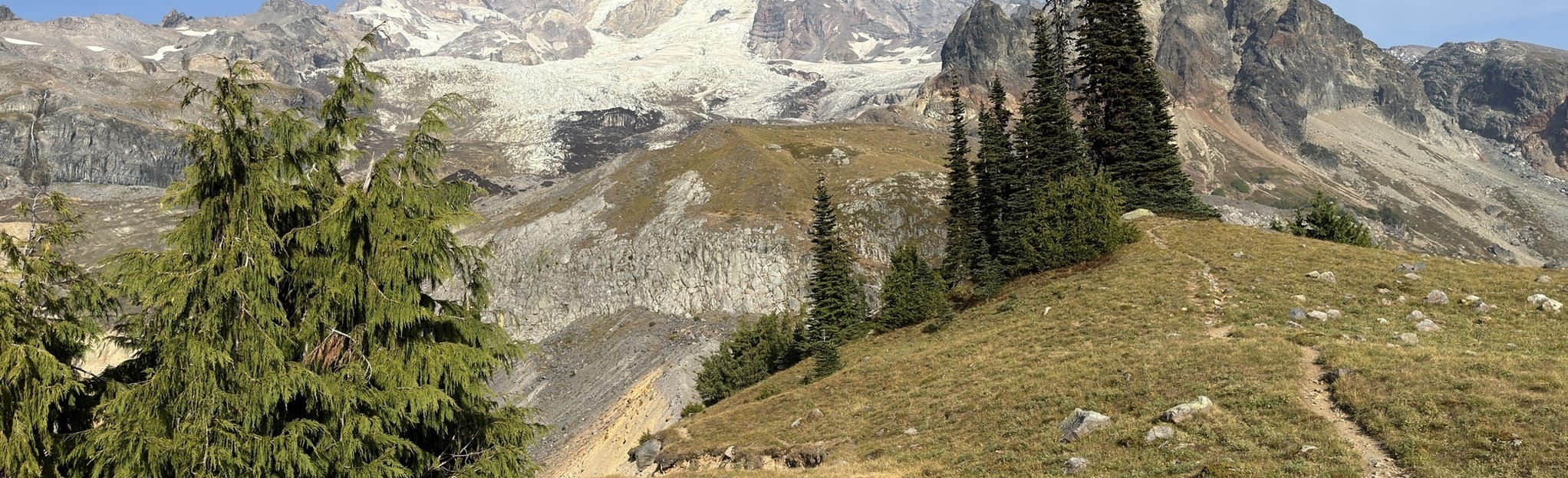 Tahoma Creek Suspension Bridge to Emerald Ridge Loop - Washington ...