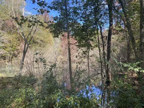 Best Hikes and Trails in West Point River Park | AllTrails