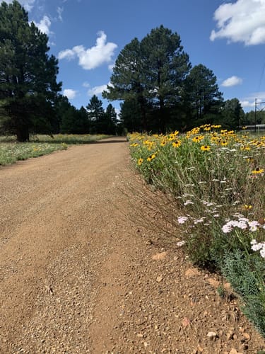 2023 Best trails in Fort Tuthill County Park | AllTrails