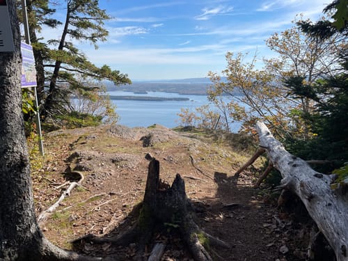Best Hikes and Trails in Whycocomagh Provincial Park | AllTrails