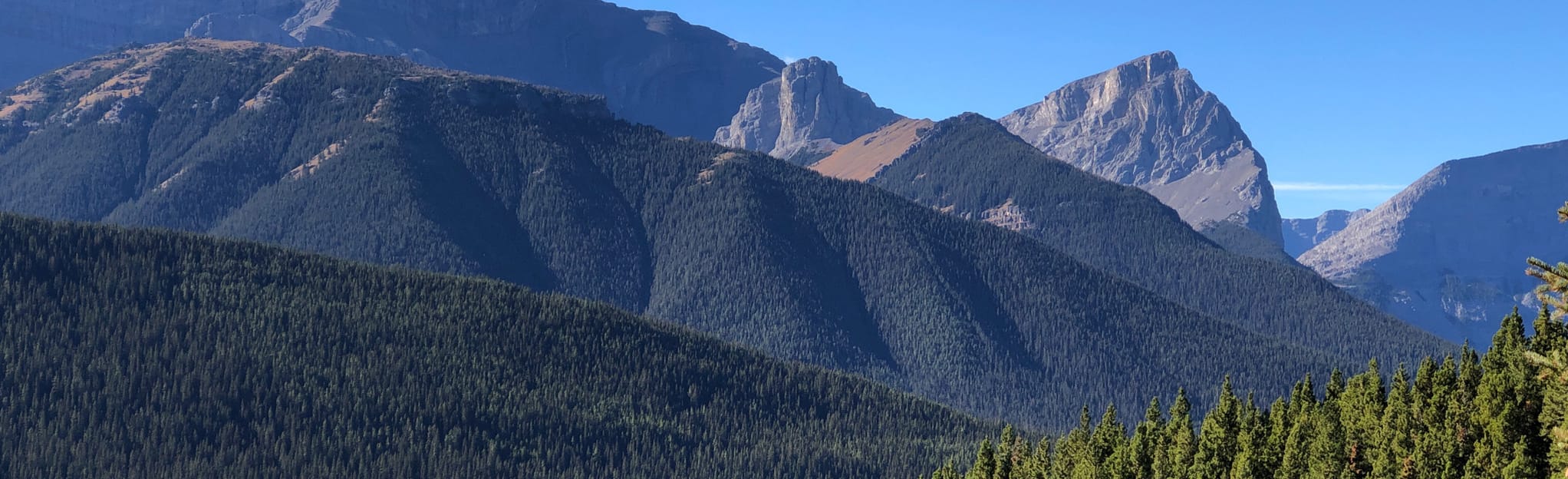 Skogan Pass Track - Alberta, Canada | AllTrails