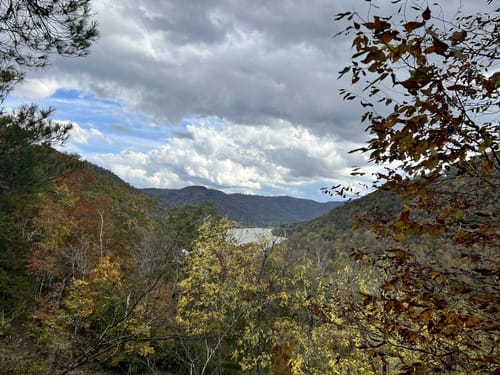 2023 Best Moderate Trails in Bluestone State Park | AllTrails
