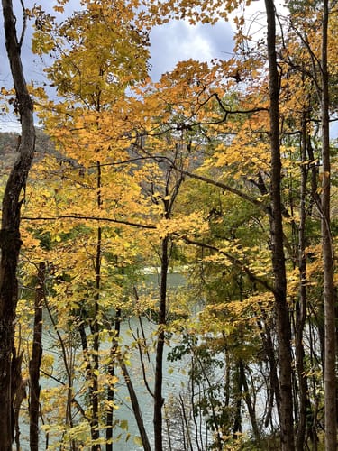 2023 Best Moderate Trails in Bluestone State Park | AllTrails