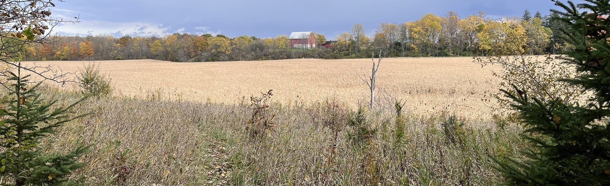 Elgin Trail: St.Thomas - Talbot Line, Ontario, Canada - 53 Reviews, Map ...