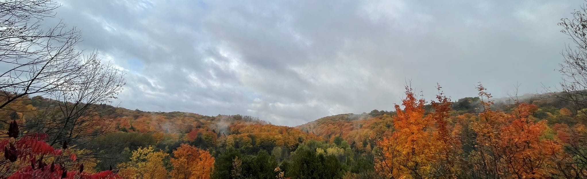 Beaver Valley Short Loop: 69 Reviews, Map - Ontario, Canada | AllTrails