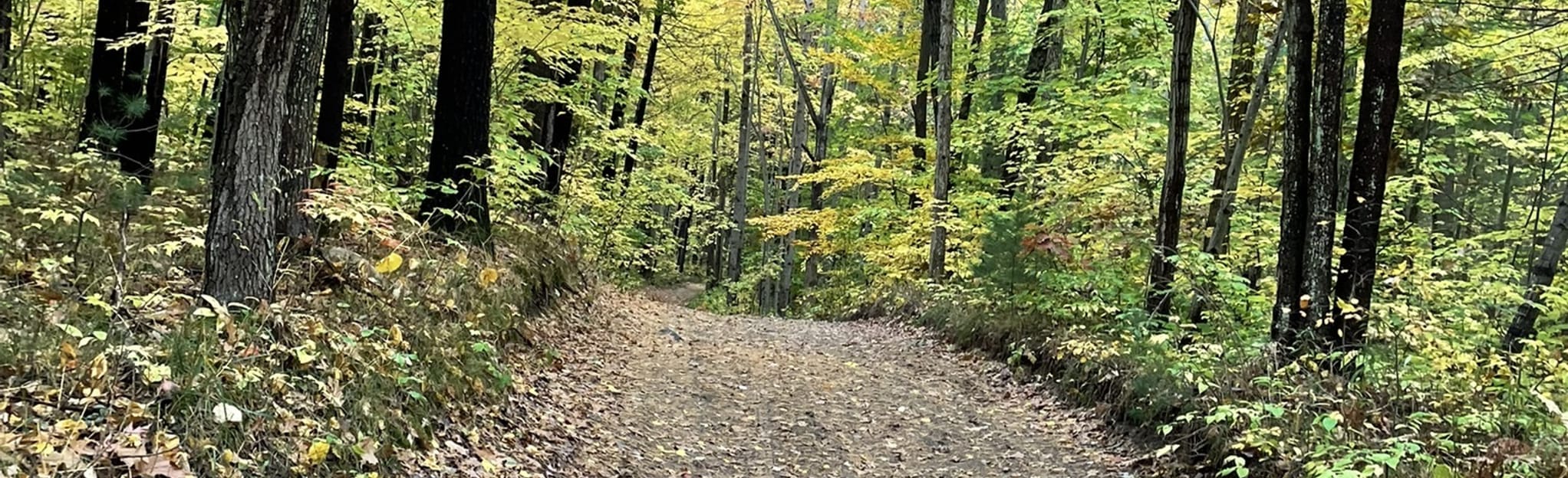 Oak Ridges Moraine Trail: West of Bewdley: 12 Reviews, Map - Ontario ...