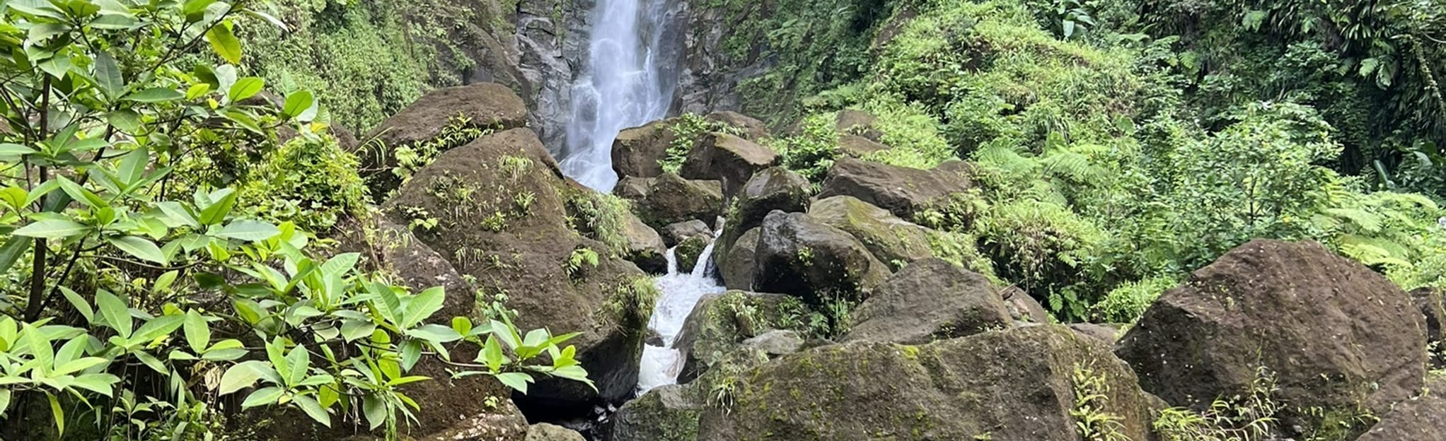 Trafalgar Falls Trail | Map, Guide - Saint George, Dominica | AllTrails