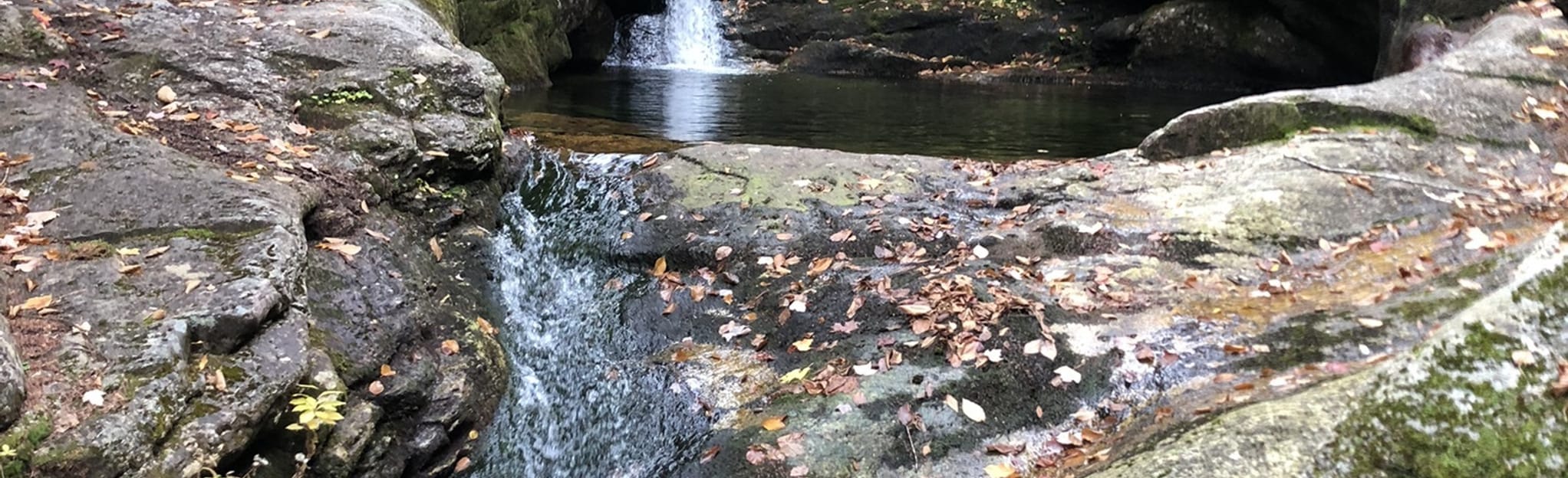 Shelburne Basin Falls Trail, New Hampshire - 344 Reviews, Map | AllTrails