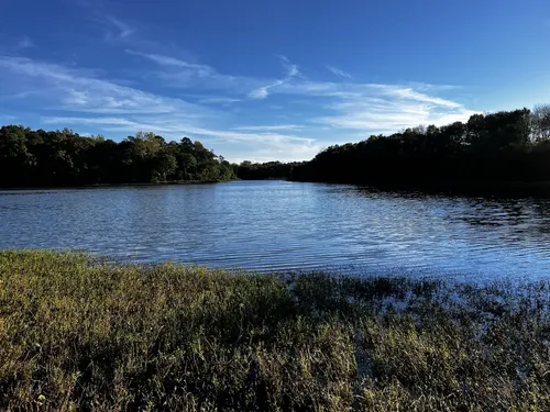 Best Short Trails in Conestee Nature Preserve | AllTrails