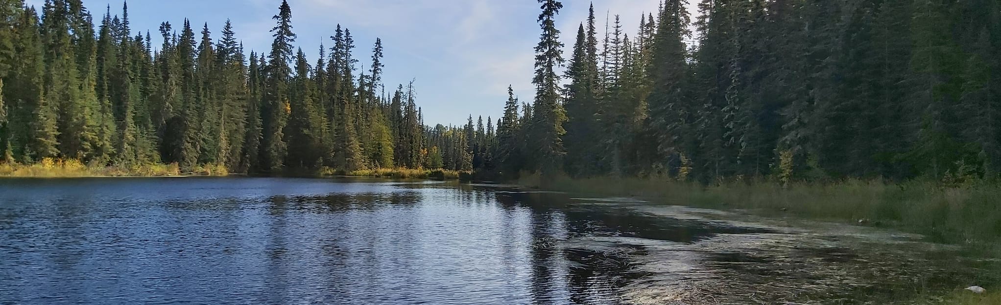 Lily Lake: 51 Reviews, Map - Alberta, Canada | AllTrails