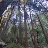 Mist Falls, California - 2,465 Reviews, Map | AllTrails