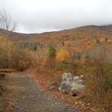Grayson Highlands and Mount Rogers Loop, Virginia - 339 Reviews, Map ...