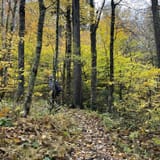Red Spruce Knob, West Virginia - 196 Reviews, Map | AllTrails