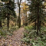 Red Spruce Knob, West Virginia - 196 Reviews, Map | AllTrails