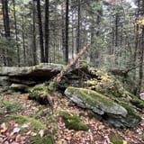 Red Spruce Knob, West Virginia - 196 Reviews, Map | AllTrails