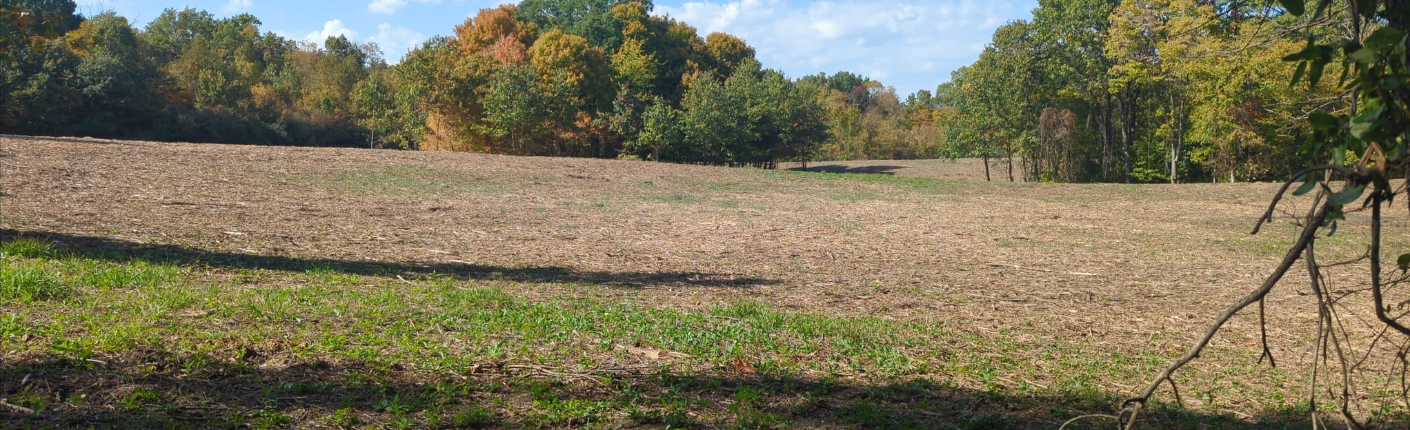 Stemler Cave Woods Shorter Interpretive Loop: 126 Reviews, Map ...