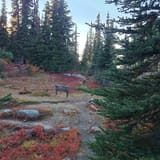 Twisp Pass Trail, Washington - 33 Reviews, Map | AllTrails
