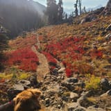 Twisp Pass Trail, Washington - 51 Reviews, Map | AllTrails