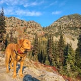 Twisp Pass Trail, Washington - 51 Reviews, Map | AllTrails