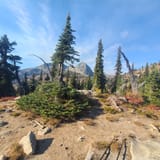 Twisp Pass Trail, Washington - 51 Reviews, Map | AllTrails