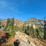 Twisp Pass Trail, Washington - 51 Reviews, Map | AllTrails