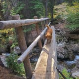 Twisp Pass Trail, Washington - 51 Reviews, Map | AllTrails