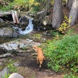 Twisp Pass Trail, Washington - 51 Reviews, Map | AllTrails