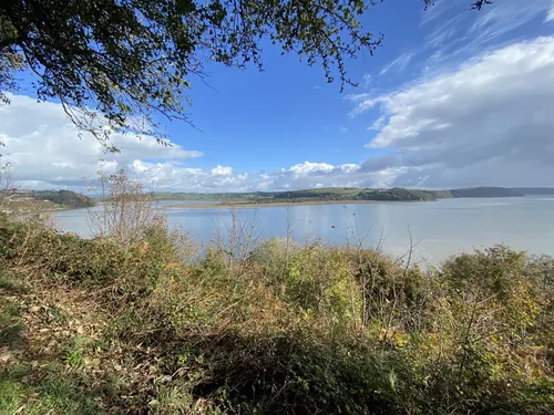 10 Best Trails, Walks, and Paths in Carmarthen | AllTrails