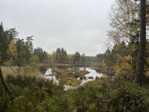Best Hikes and Trails in Slottsberget naturreservat | AllTrails