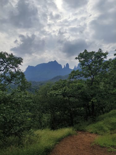 Los mejores senderos y rutas en Tansa Wildlife Sanctuary | AllTrails