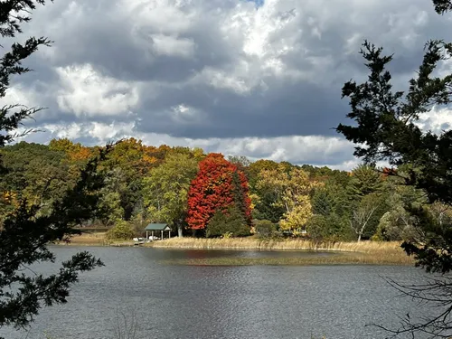 10 Best Hikes and Trails in Pinckney Recreation Area | AllTrails