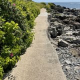 York Harbor Cliff Walk [CLOSED], Maine - 237 Reviews, Map | AllTrails