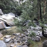 Mist Falls, California - 2,465 Reviews, Map | AllTrails