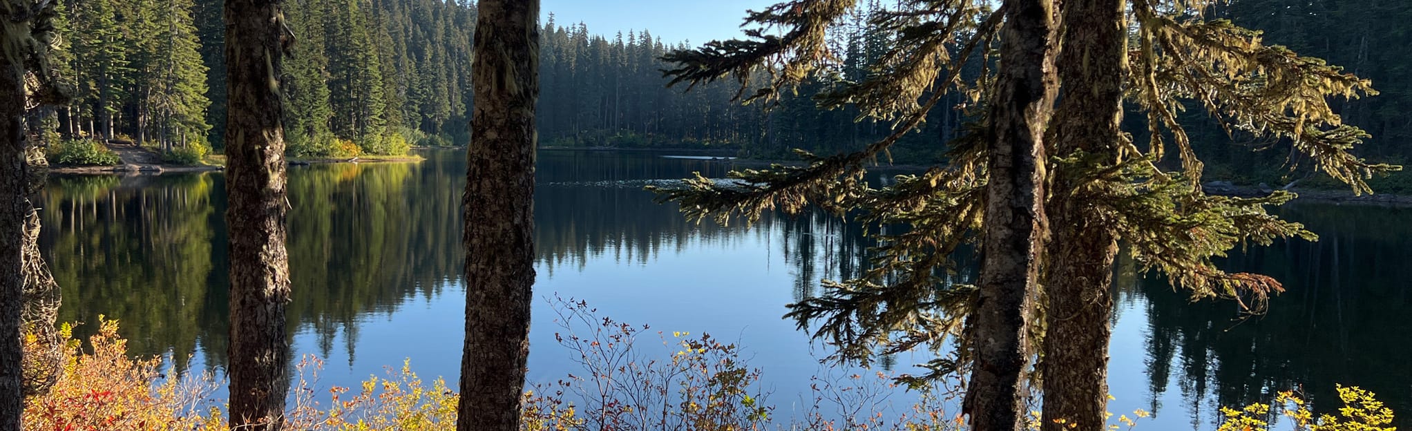 Thomas Lake Trail: 289 Fotos - Washington | AllTrails