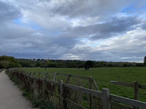 Best Hikes and Trails in Woodgate Valley Country Park | AllTrails